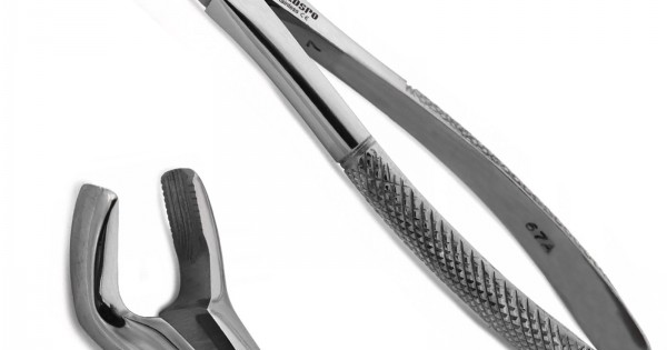 Dental Forceps Fig, 67A for Upper Wisdom Teeth Extraction Dental ...